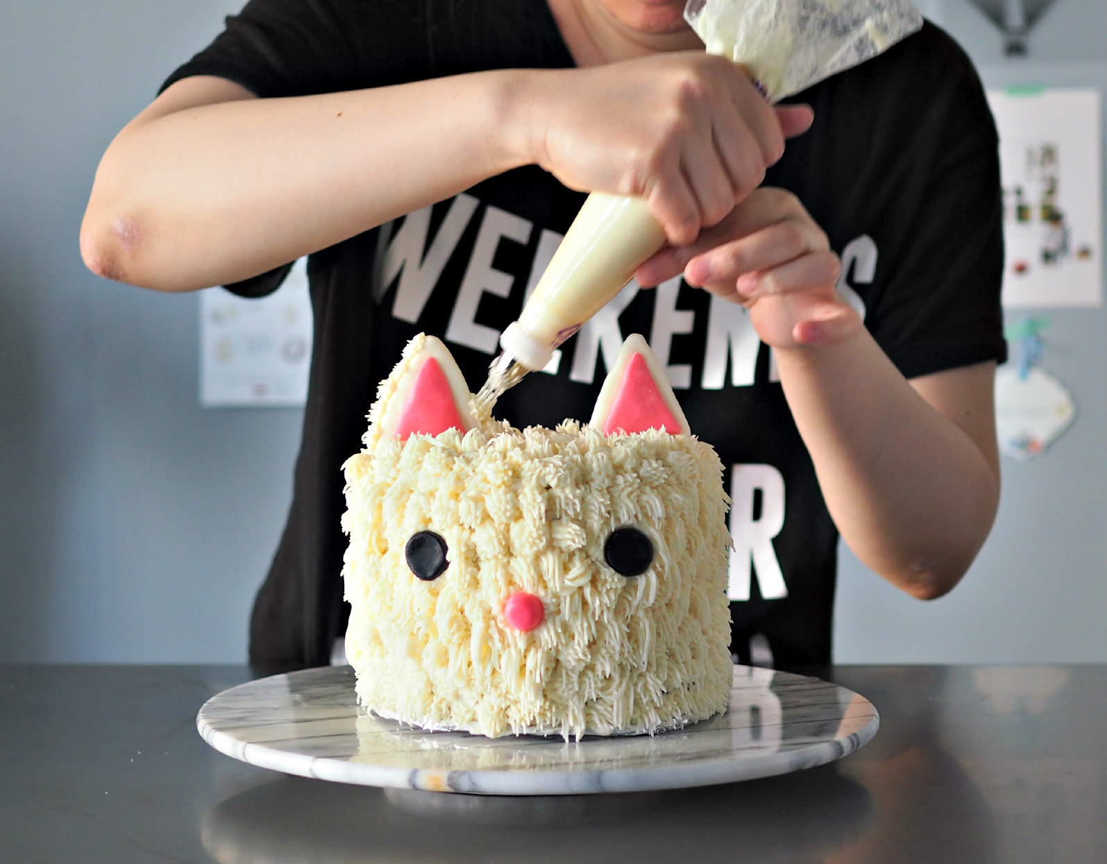 cat cake – Sincerely, Syl